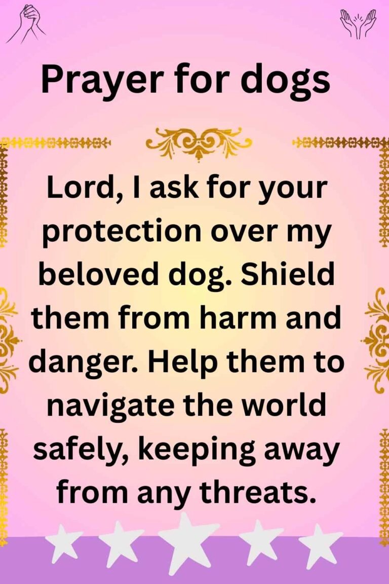 15 Prayer for My Dog