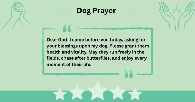 15 Prayer for My Dog